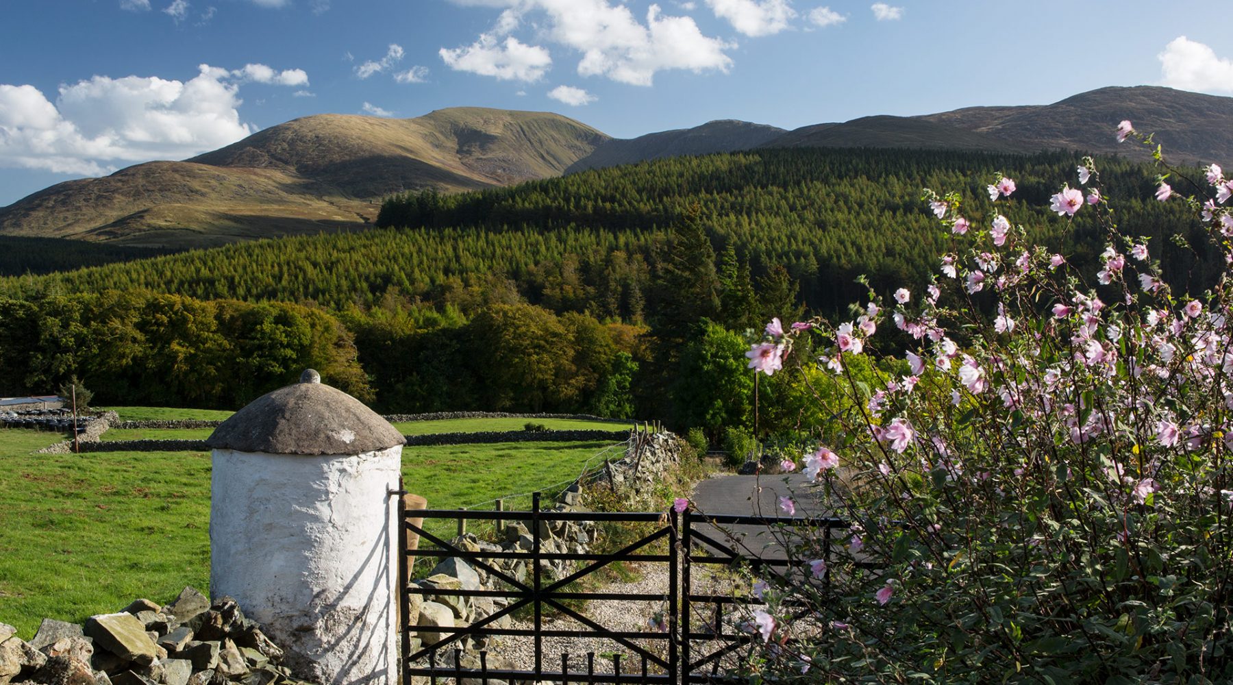 The Mournes Archives | Mountain Ways Ireland